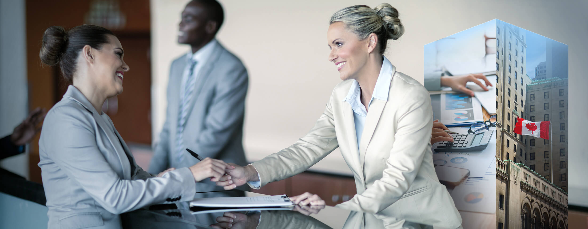 Financial institutions insurance coverage | BFL CANADA