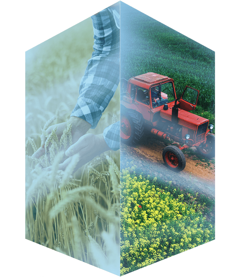 Farm insurance / agri insurance | Agriculture insurance | BFL CANADA